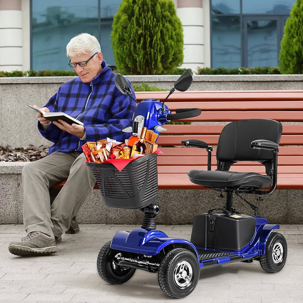 Rascal scooter to the rescue: an alternative to Ottawa public transit ...